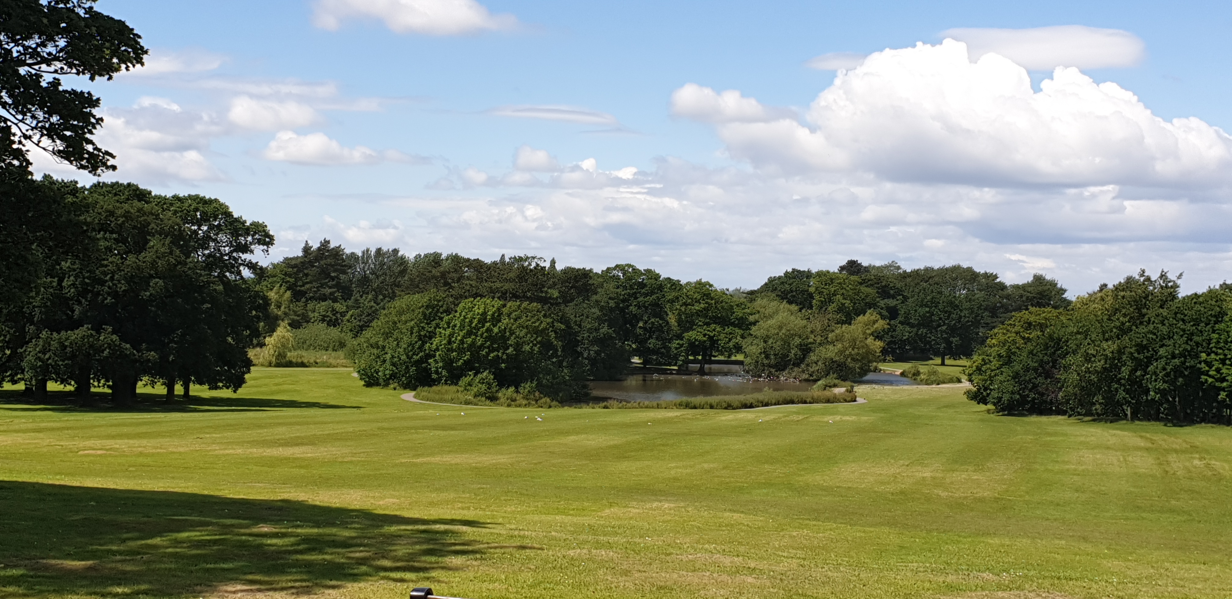 Chris Rea: The Life, Legacy, and Lasting Voice of a Teesside Icon