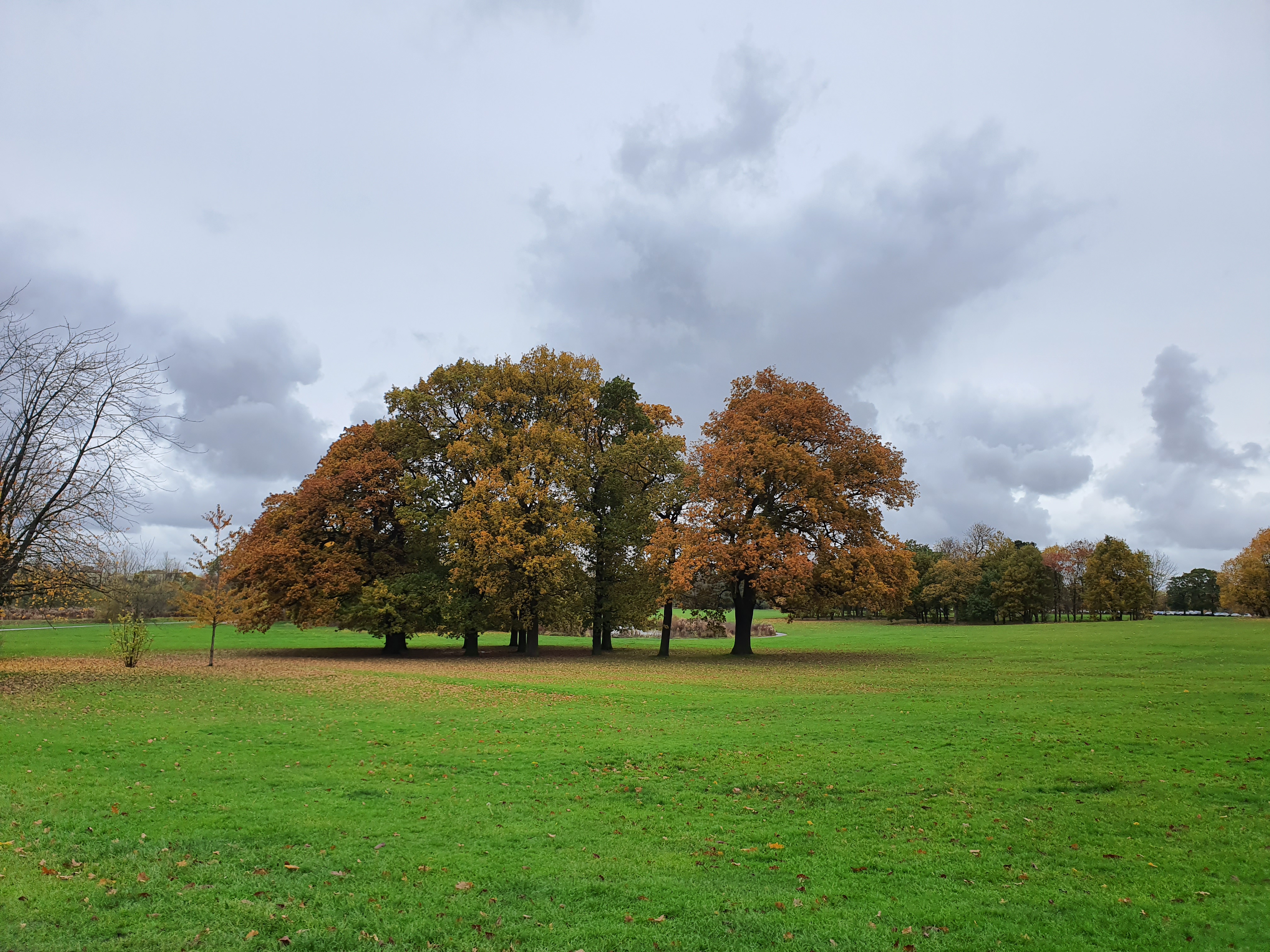 Chris Rea: The Life, Legacy, and Lasting Voice of a Teesside Icon